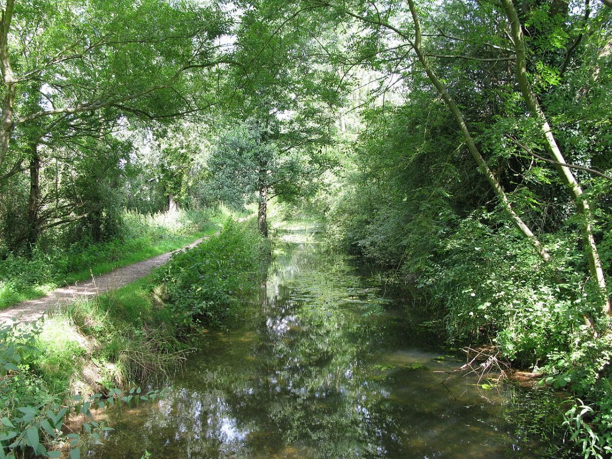 From the archive: The Andover and Redbridge Railway | The Railway Hub